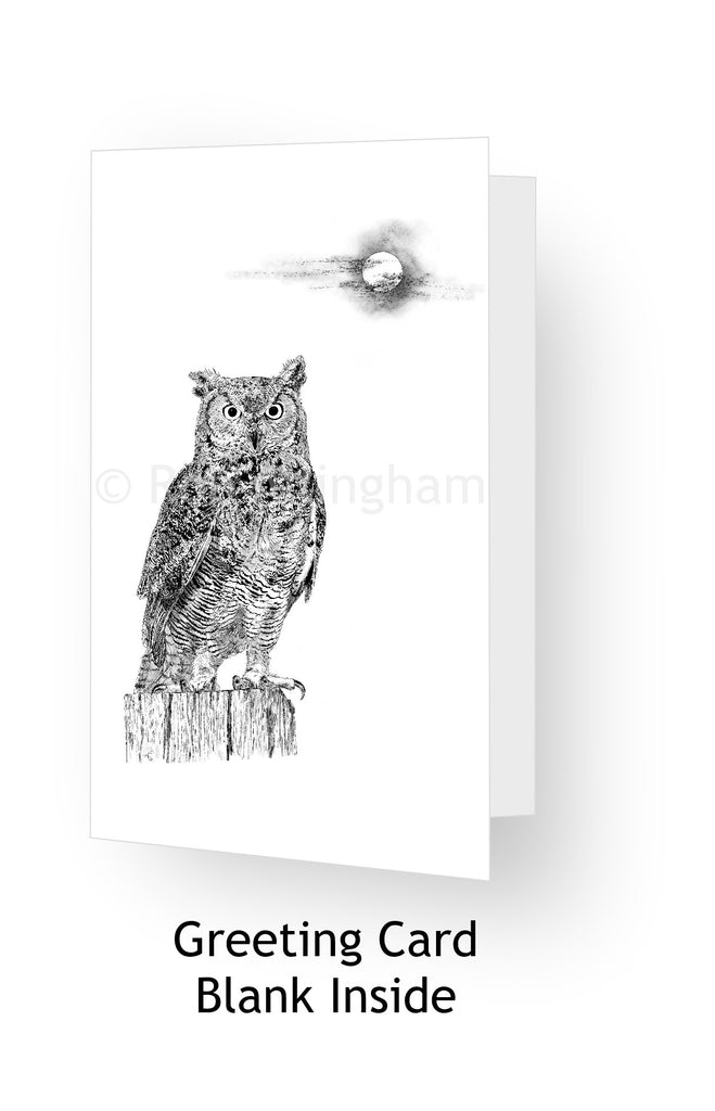 Owl in moonlight, a fine art illustration by Rob Allingham - Proper ...